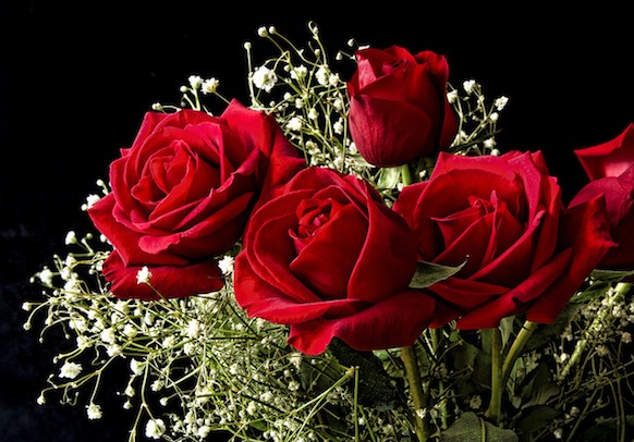 Most Popular Photos And Wallpapers: 2012 valentine roses images, roses ...