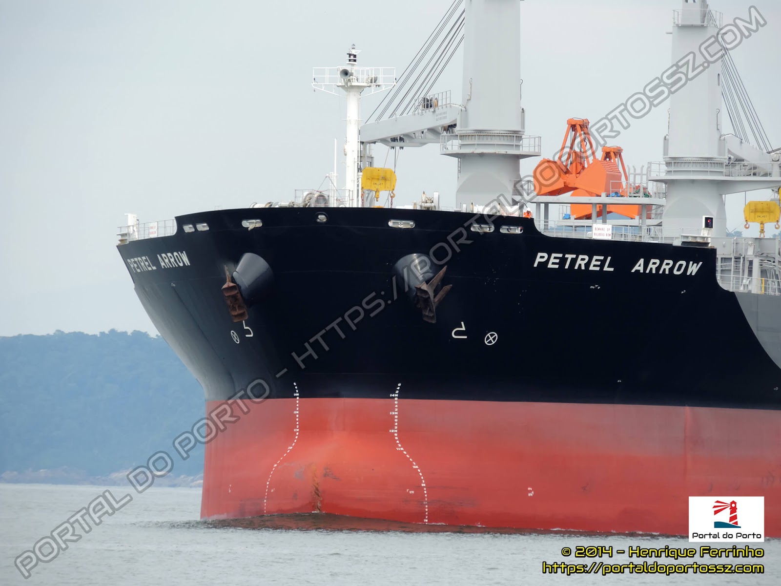 Petrel Arrow - Portal do Porto