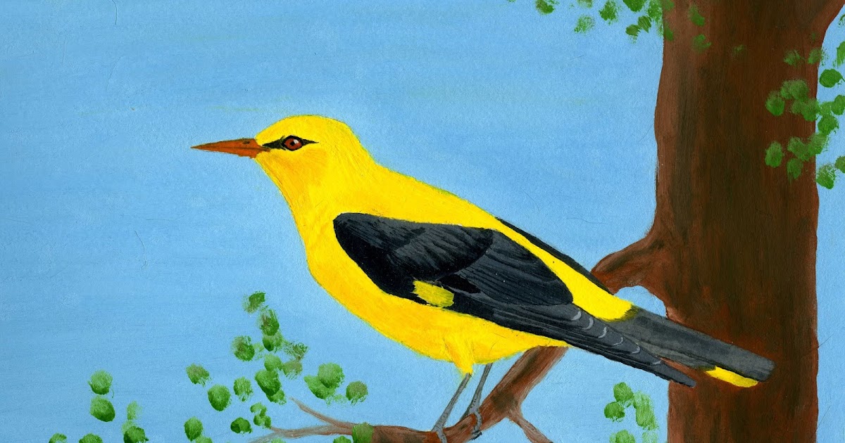 Verín Natural: Recente recolla de nomes vernáculos de fauna en Feces de ...