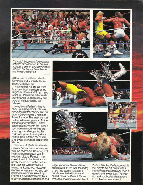Bresslinz memories I: WWF Magazine, gennaio-febbraio 1991