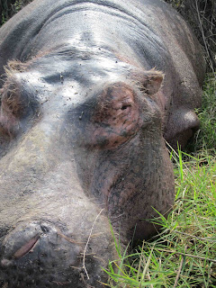 Experience everything once!: Waste not, want not (August 4, 2011)