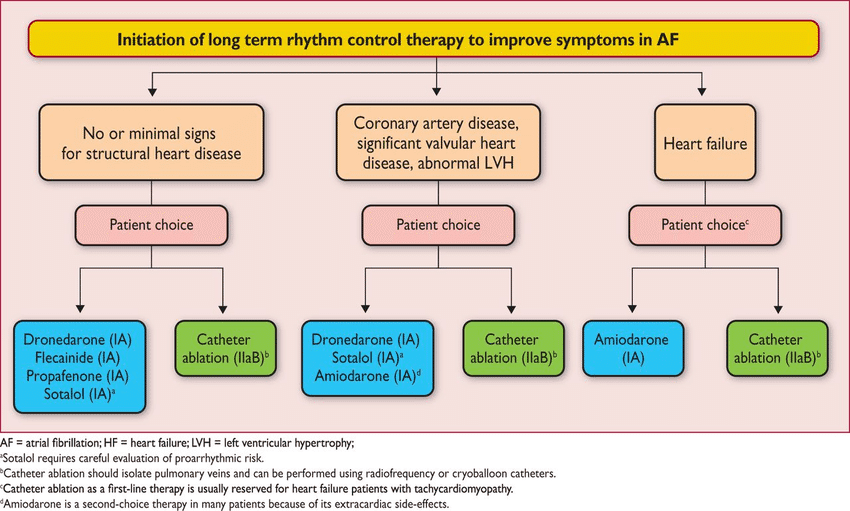 Dr Han Naung @ Henry Han : Electrophysiology and Heart Rhythm : AF ...