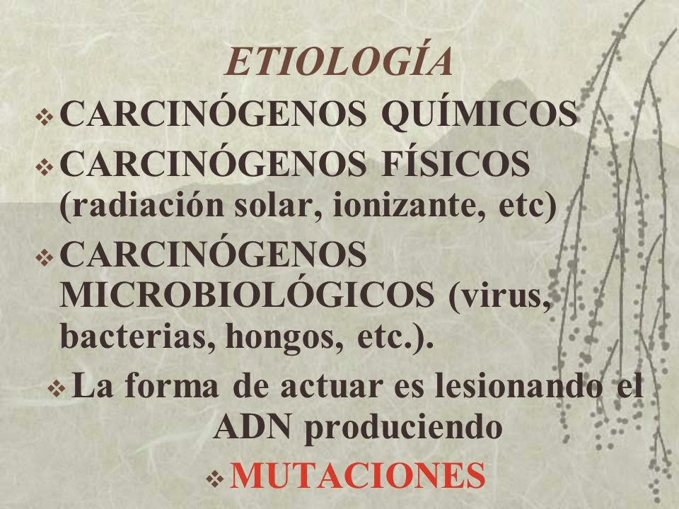 Juanvena: Carcinogenesis Quimica