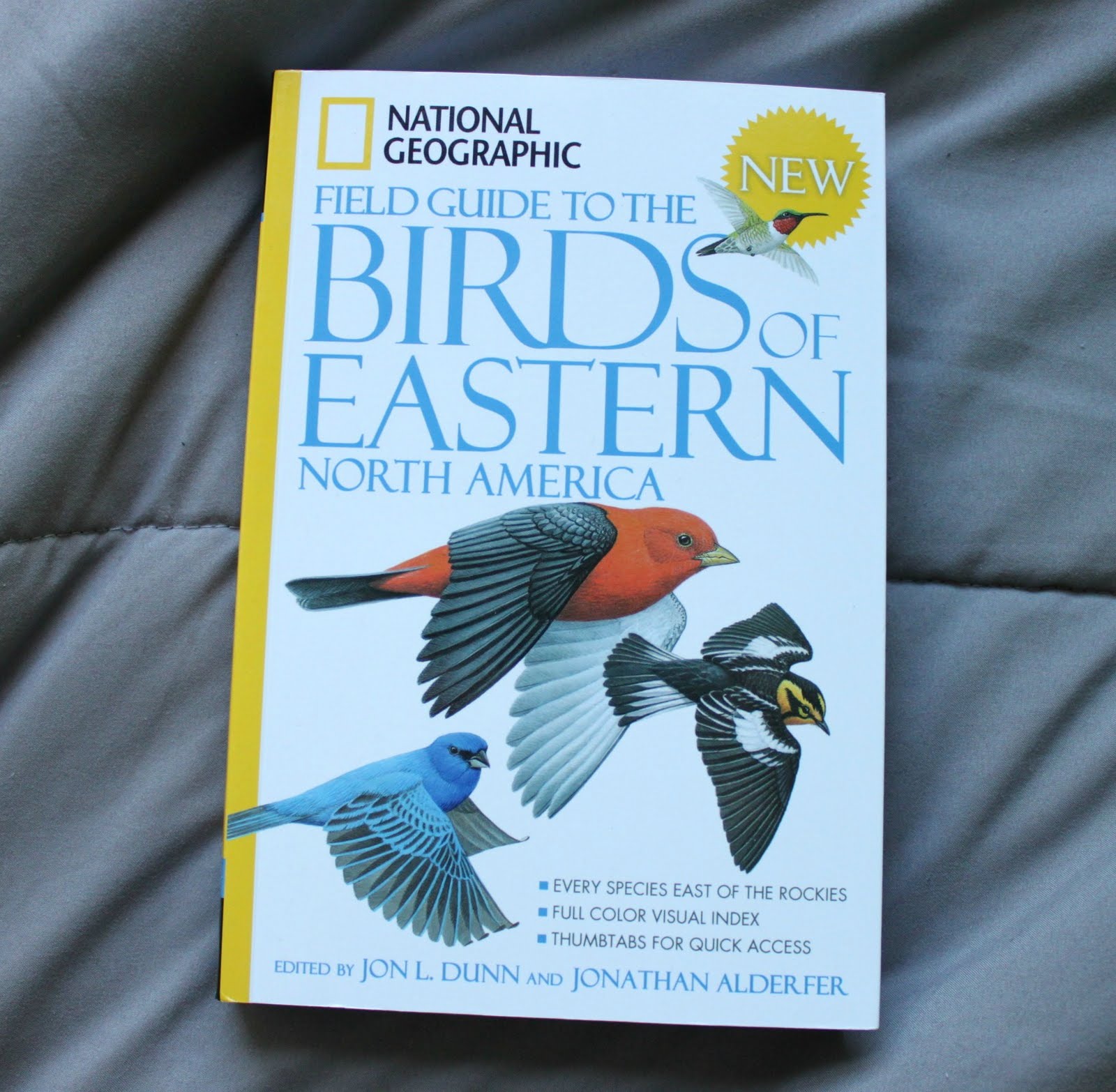 A Fresh Take On Birding: Field Guides-