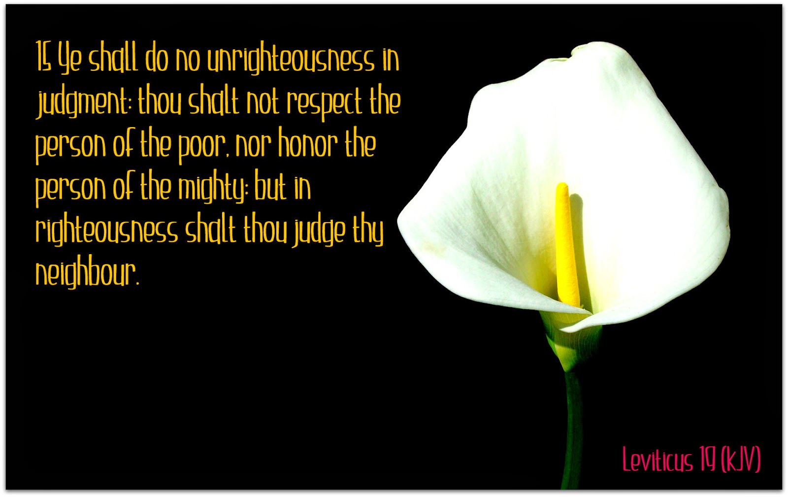 Red Pill Diaries: Leviticus 19 (KJV)