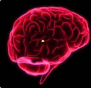 Vindecarea cu Ayahuasca: Al Treilea Ochi - Epifiza