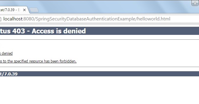 Spring Security Customize 403 Access Denied Page Java Tutorial For Beginners