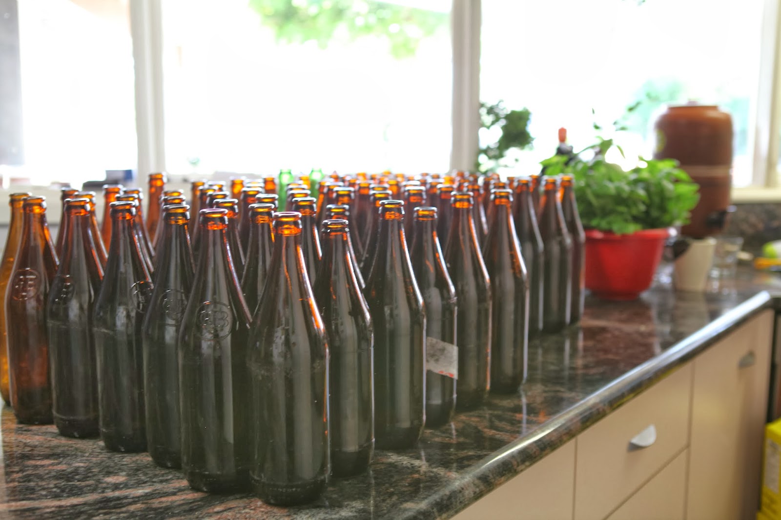 National Wog Day | Thoughts Of A Moni