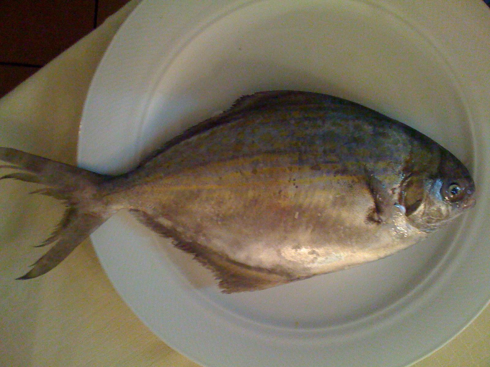 AMOR A LA GASTRONOMIA: PESCADOS