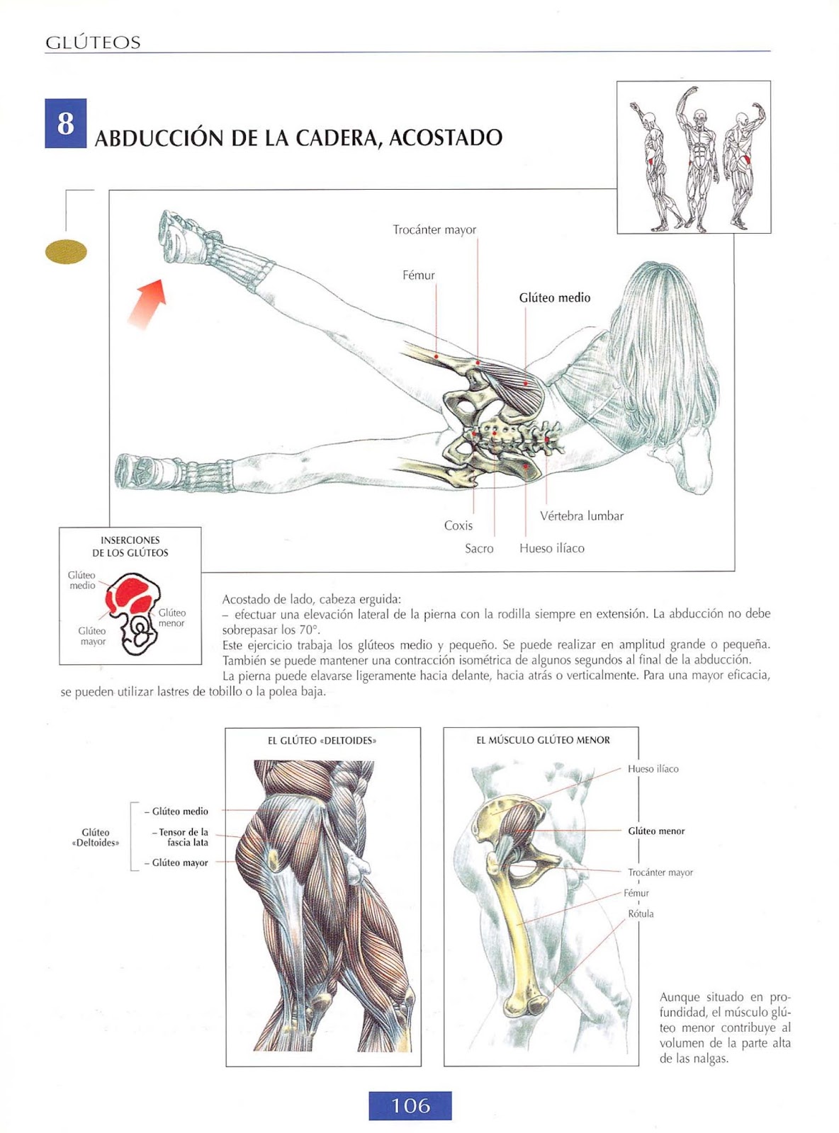 Ejercítate 365: ABDUCCIÓN DE LA CADERA, ACOSTADO. HOMBRE
