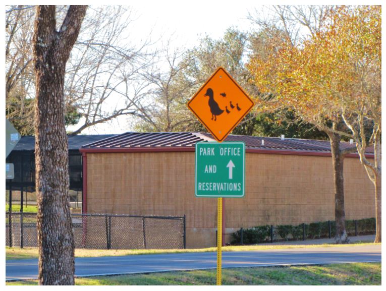 H-Town-West Photo Blog: Duck traffic control - Pics of ducks and duck ...