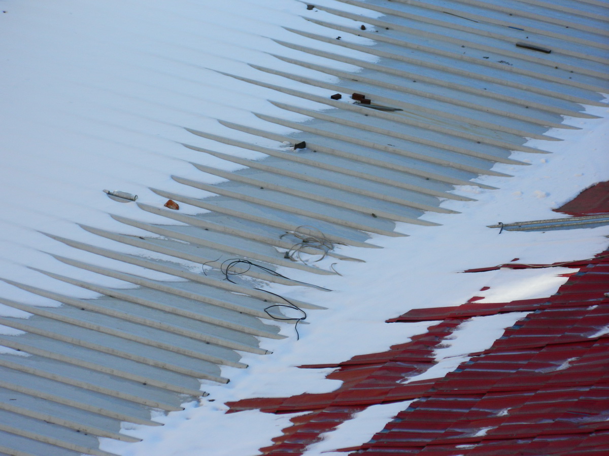 LA MULTI ANI, ROMANIA!: Prima ninsoare din acest sezon in Bucuresti