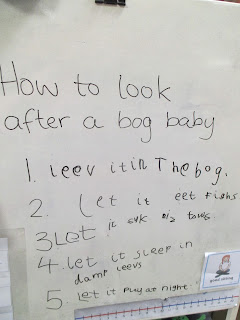 Windhill21: How to look after a Bog Baby