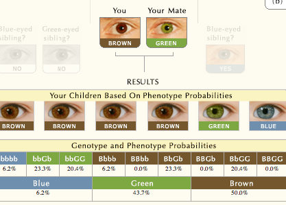 The Ethertons: What Color will your future Kid's Eyes Be?