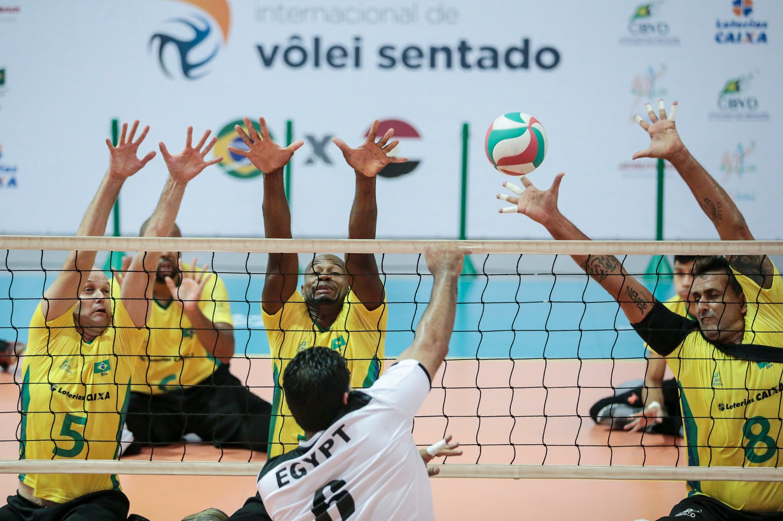 Seleção Brasileira de vôlei sentado encerra treinamentos no CT ...