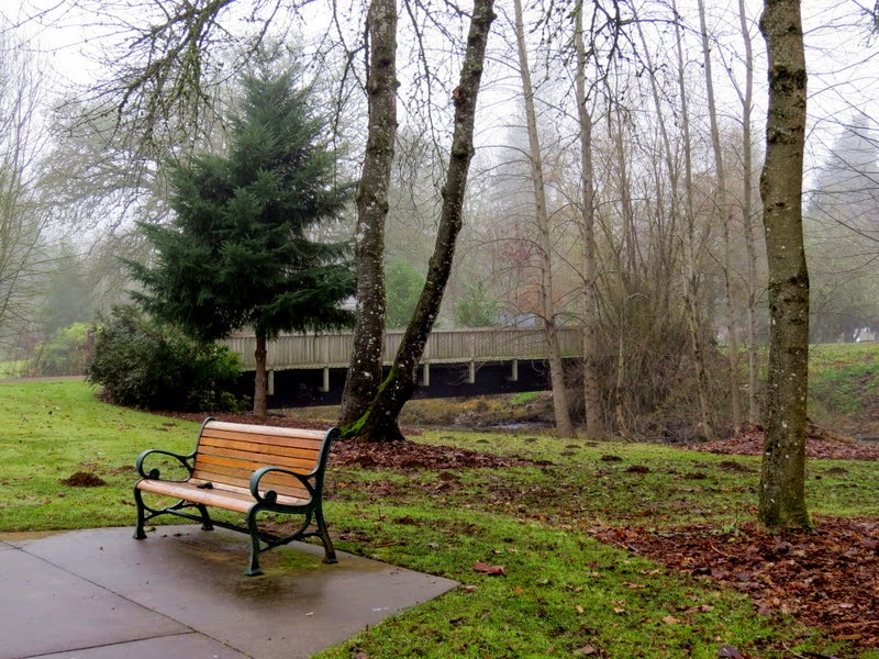 Photos by Jan: Off D Street in Springfield,Oregon/Then Day Island Park