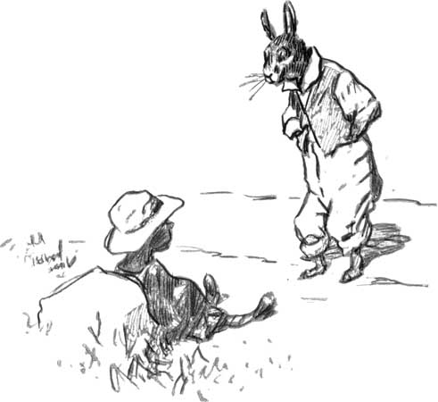 The Adventures and Ingenuity of Brer Rabbit : Posted By Gillian ...