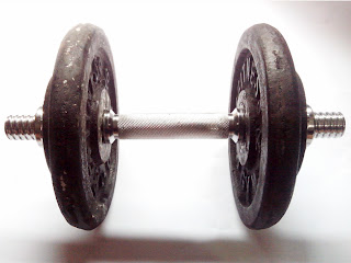 Stick Dumble Crome + Beban - Toko Online Alat Fitness Indonesia