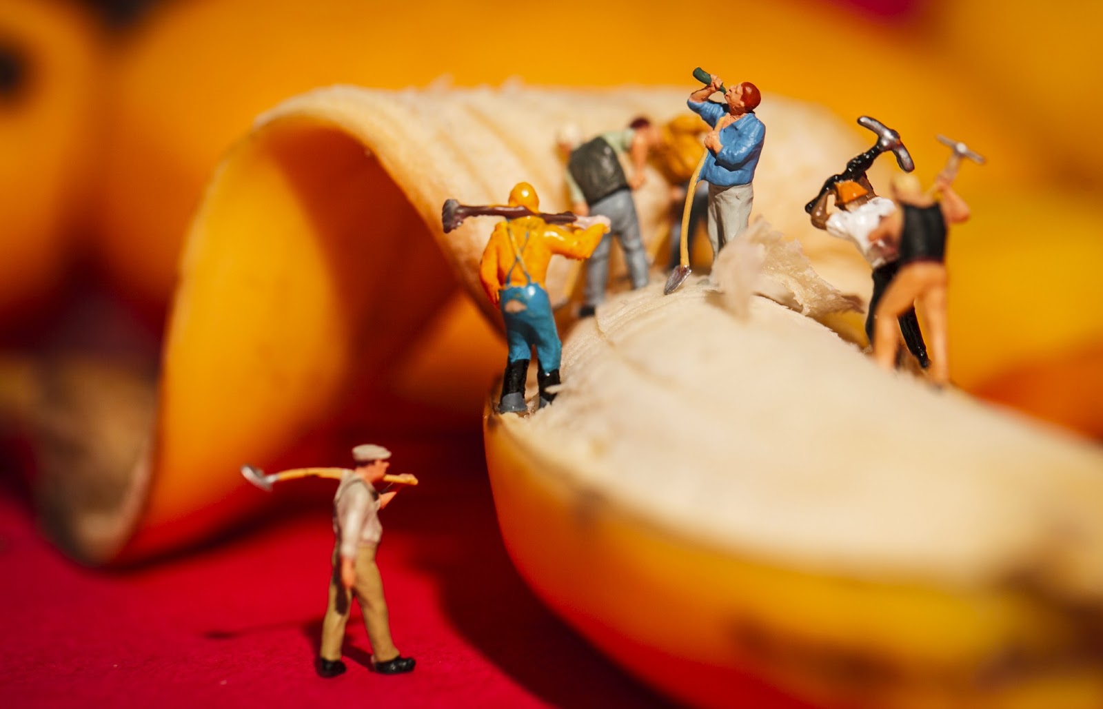 jorgea|photography: little people project