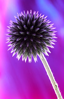 Photography: Andy Small