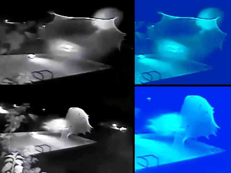 Security Camera caught UFO or Light Being over Swimming Pool in Naples ...