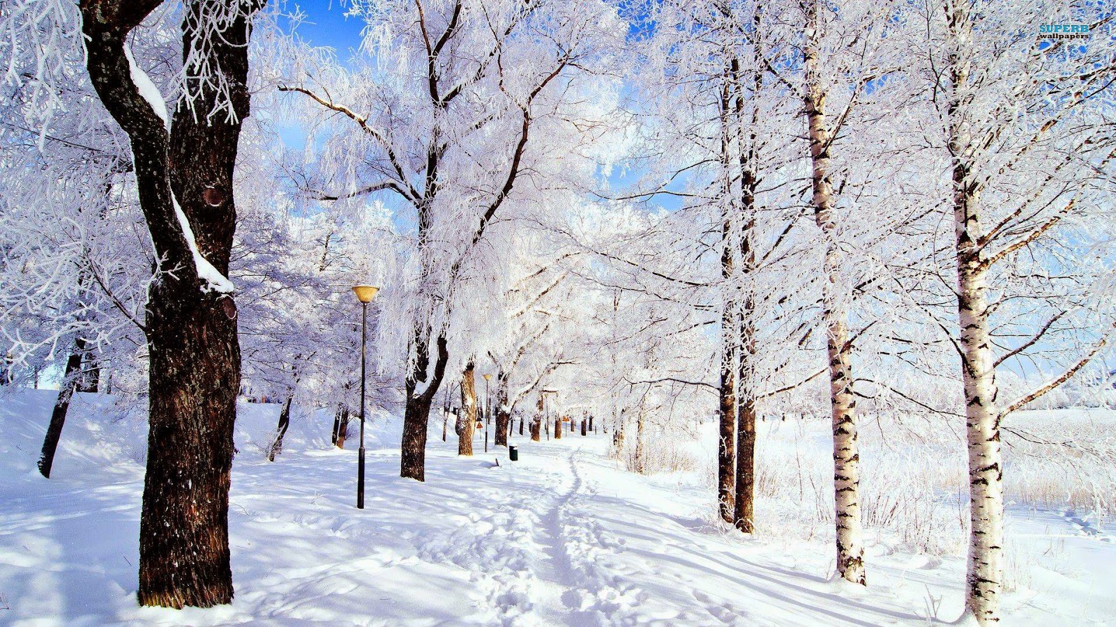 Dias da Semana, Meses do Ano, Estações do Ano - Inglês