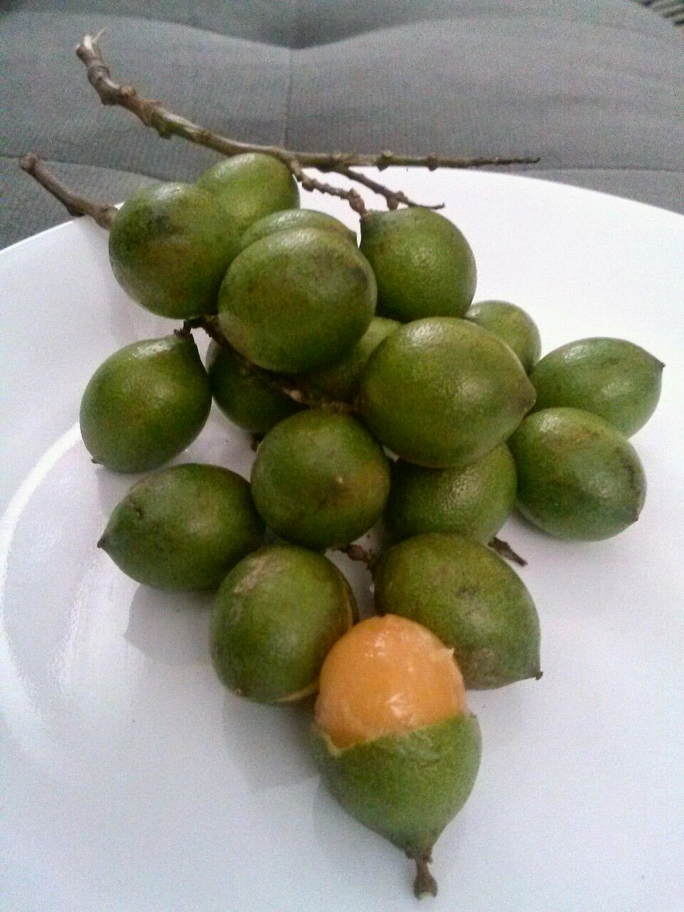 REALIDAD SECRETA: La Huaya: Mucho mas potente que la Guanabana para ...