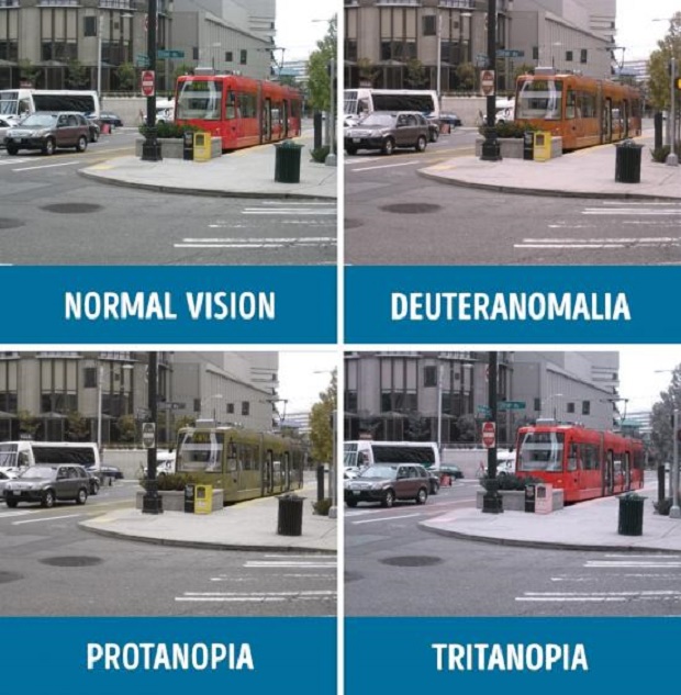 Tahukah Anda ? Perbandingan Penglihatan Mata Normal dengan Mata Buta ...