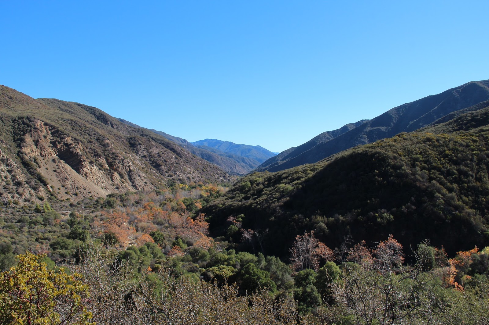 wildsouthland: Divide Peak: To Infinity and Beyond