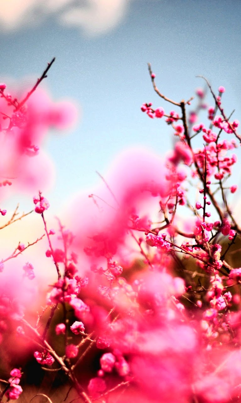 45 Best BlackBerry Z10 Wallpapers - BlackBerry 10 Wallpapers