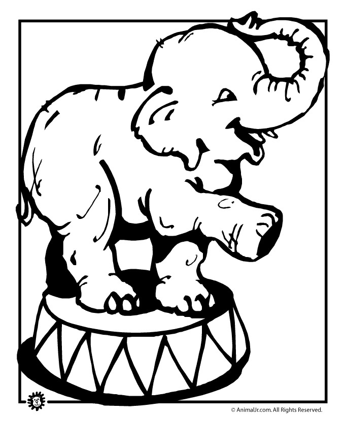 Kids Page: Circus Animal Coloring Pages