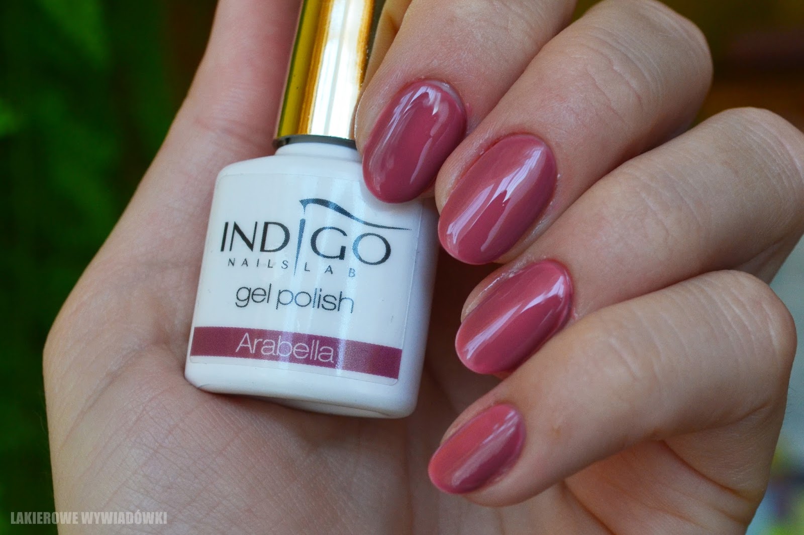 lakierowe wywiadówki: Indigo Nails gel polish - Arabella