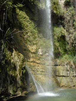 Five of the most beautiful Oasis in the world | The True Adventures