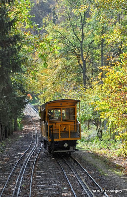 Oolong to Earl Grey...to Riesling: Neroberg Water Train, Wiesbaden, Germany