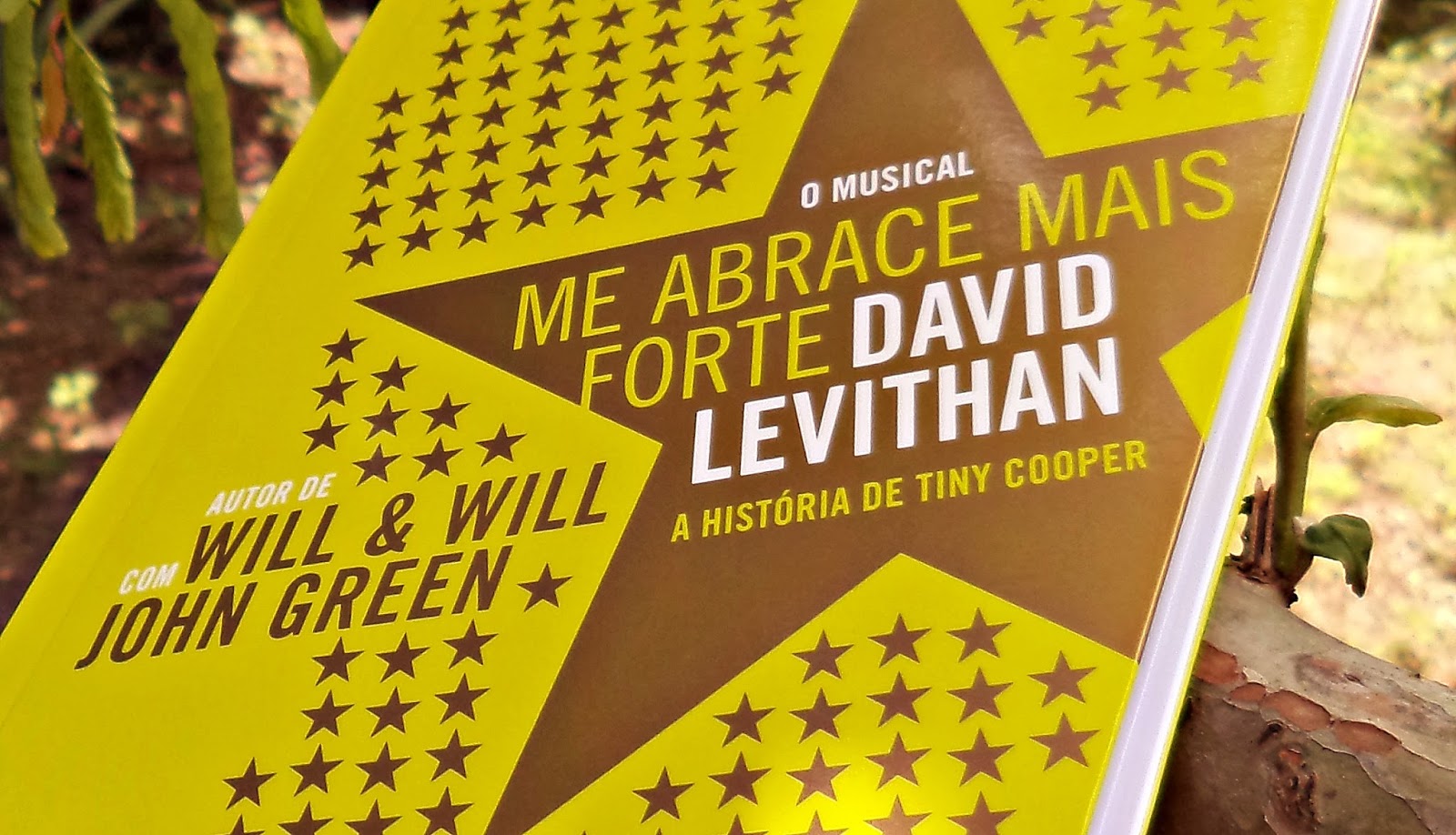 {Resenha} Me Abrace Mais Forte - David Levithan | Palácio de Livros