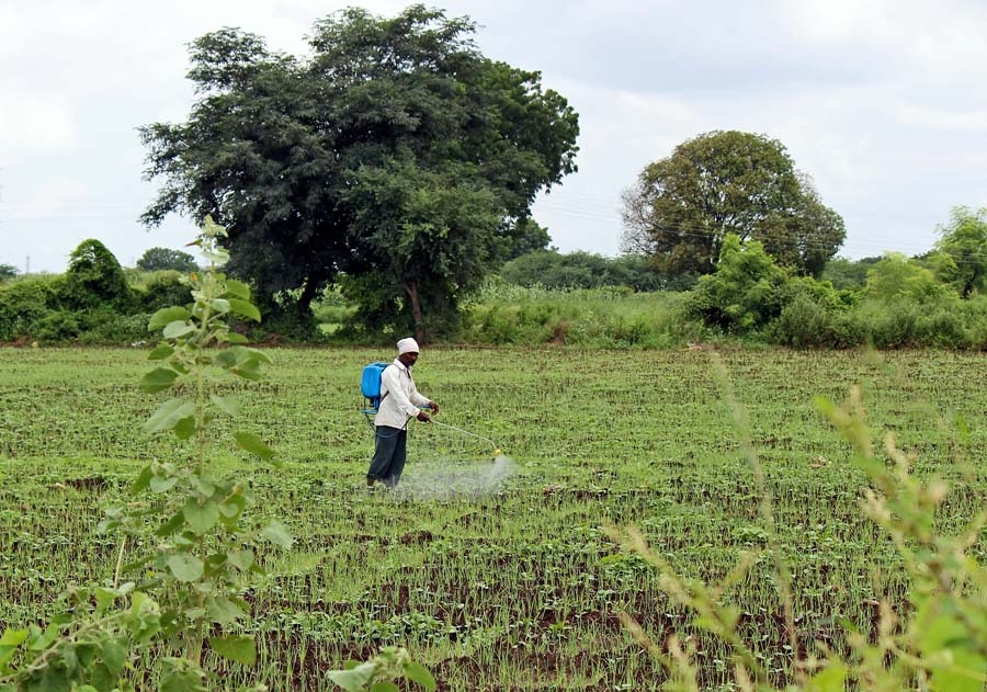 Stock Pictures: Pesticide Spraying