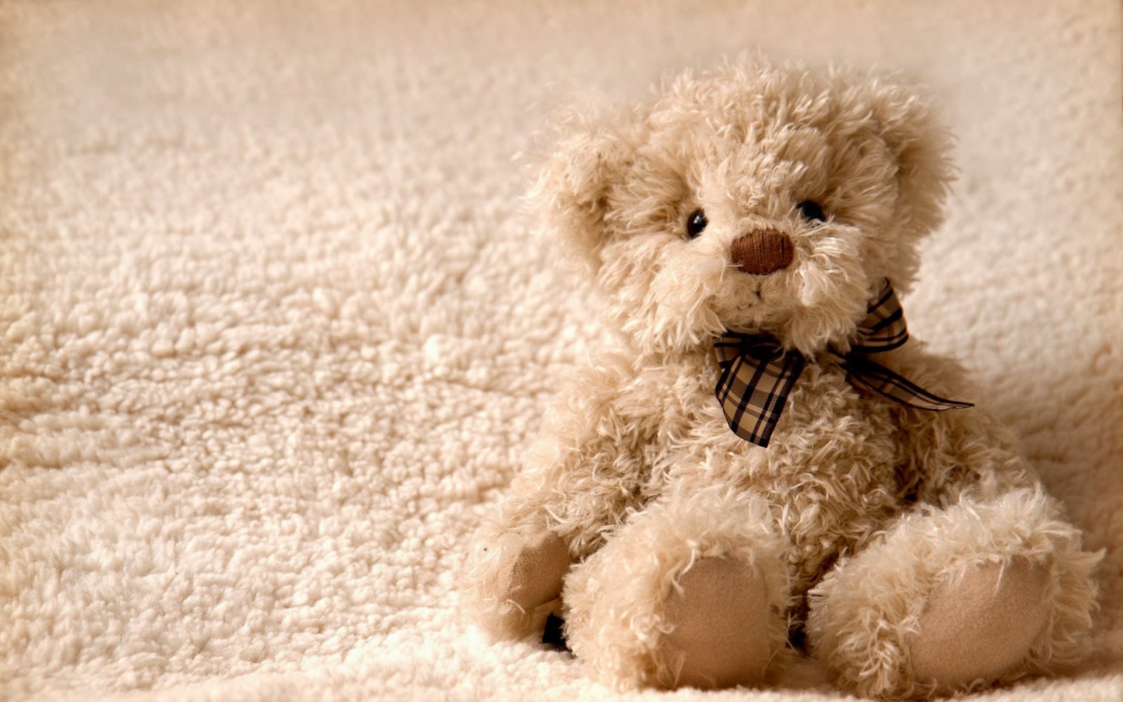 teddybear: Cute Teddy Bear