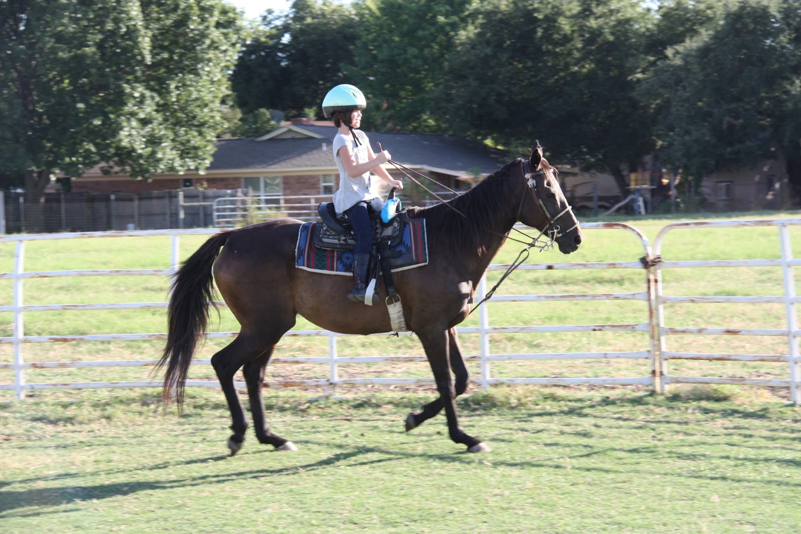 The Kaminski Chronicles: Horseback Riding Lessons