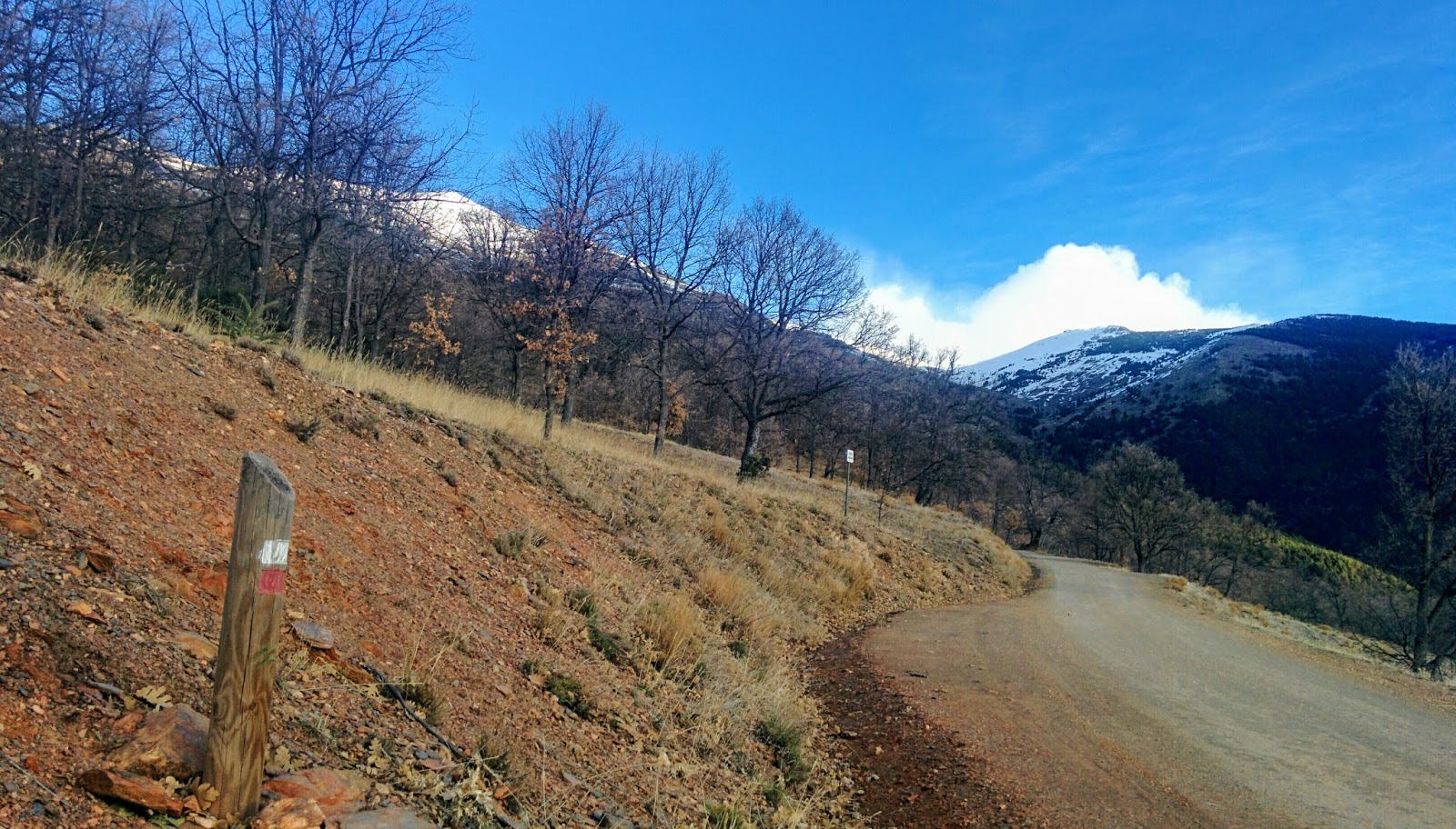 El Blog de Ignacio Henares: Puente Palo, un pulmón alpujarreño