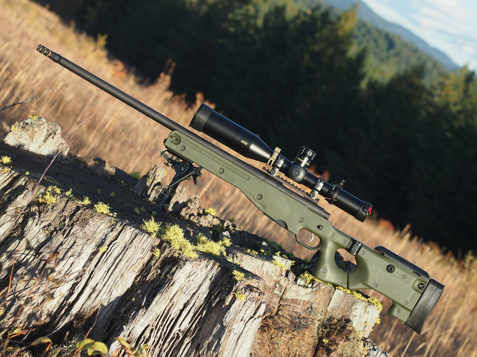 OFFICIAL - 20 Inchers - Let's see them > AR Discussions > AR15.COM