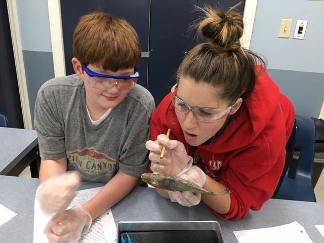 Grace Christian Academy: 7th Grade Dissection