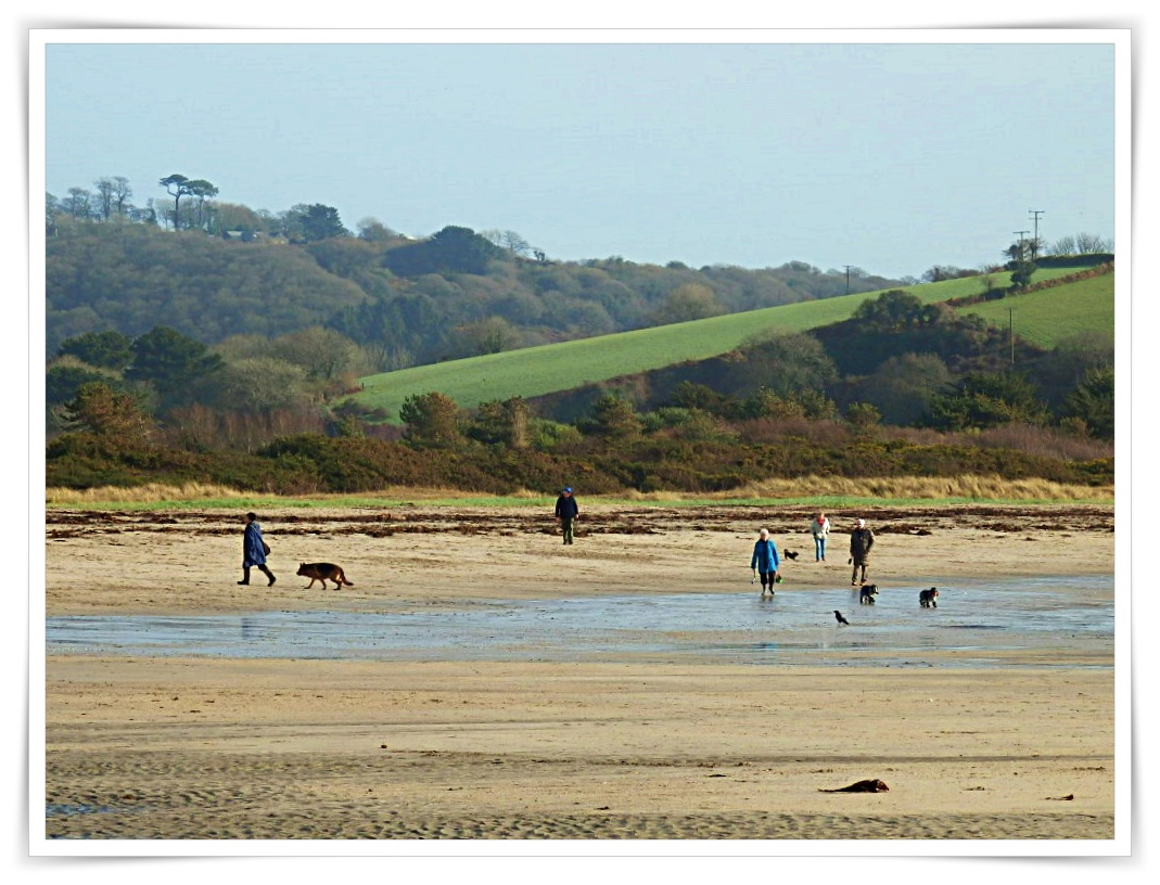Mike's Cornwall: Par Sands : Photos of Beach and Surroundings