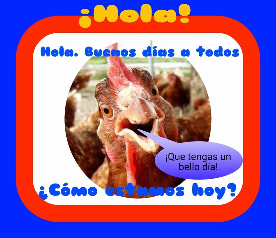 cosas de un viejo loco: ¡Hola buenos días a todos….!