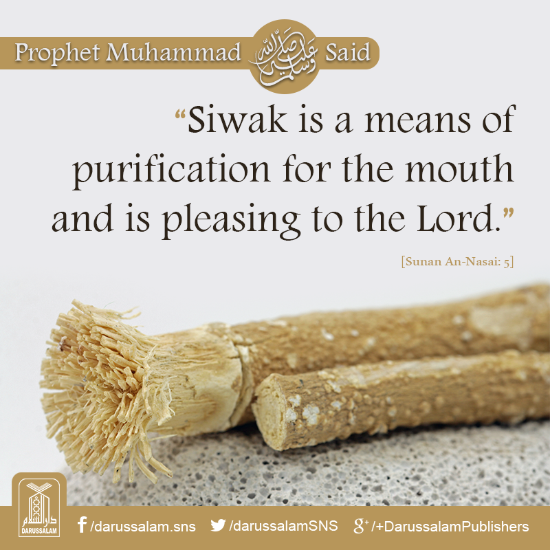 Hadith About Miswak (Siwak) - Best Right Way