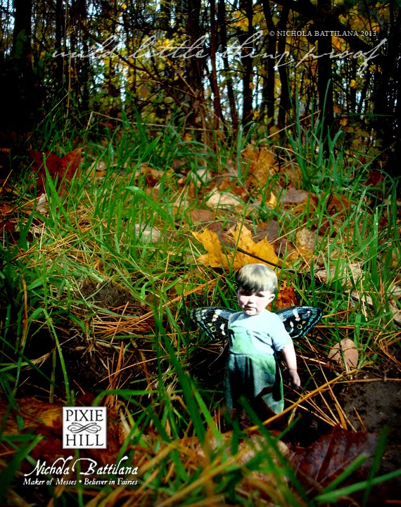 Pixie Hill: Wild Little Things