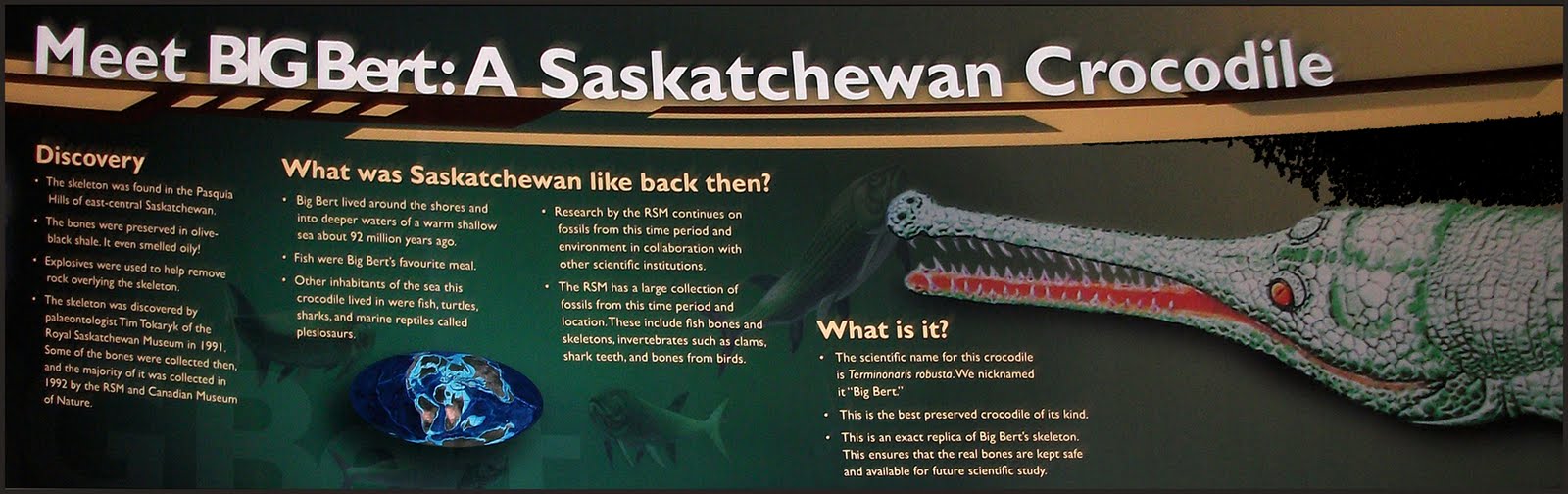 Prairie Nature: Big Bert: Saskatchewan's Giant Crocodile