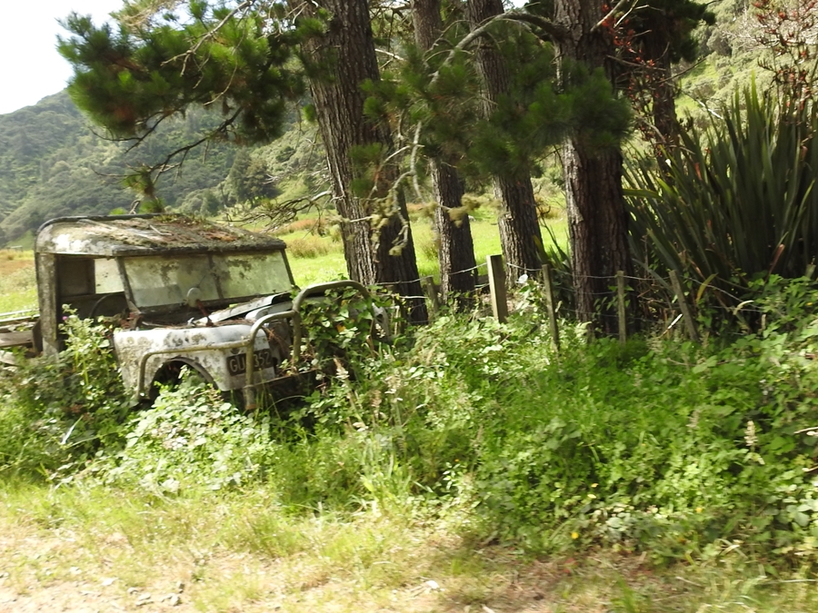 photographing New Zealand: the search for Kiwi Road