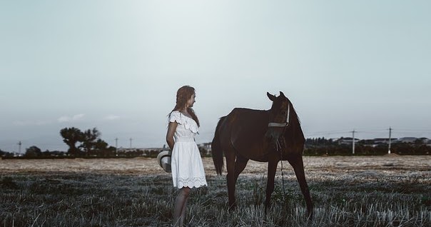 Conscious Companionship: ANIMAL CONNECTION & COMMUNICATION QUICK TIP