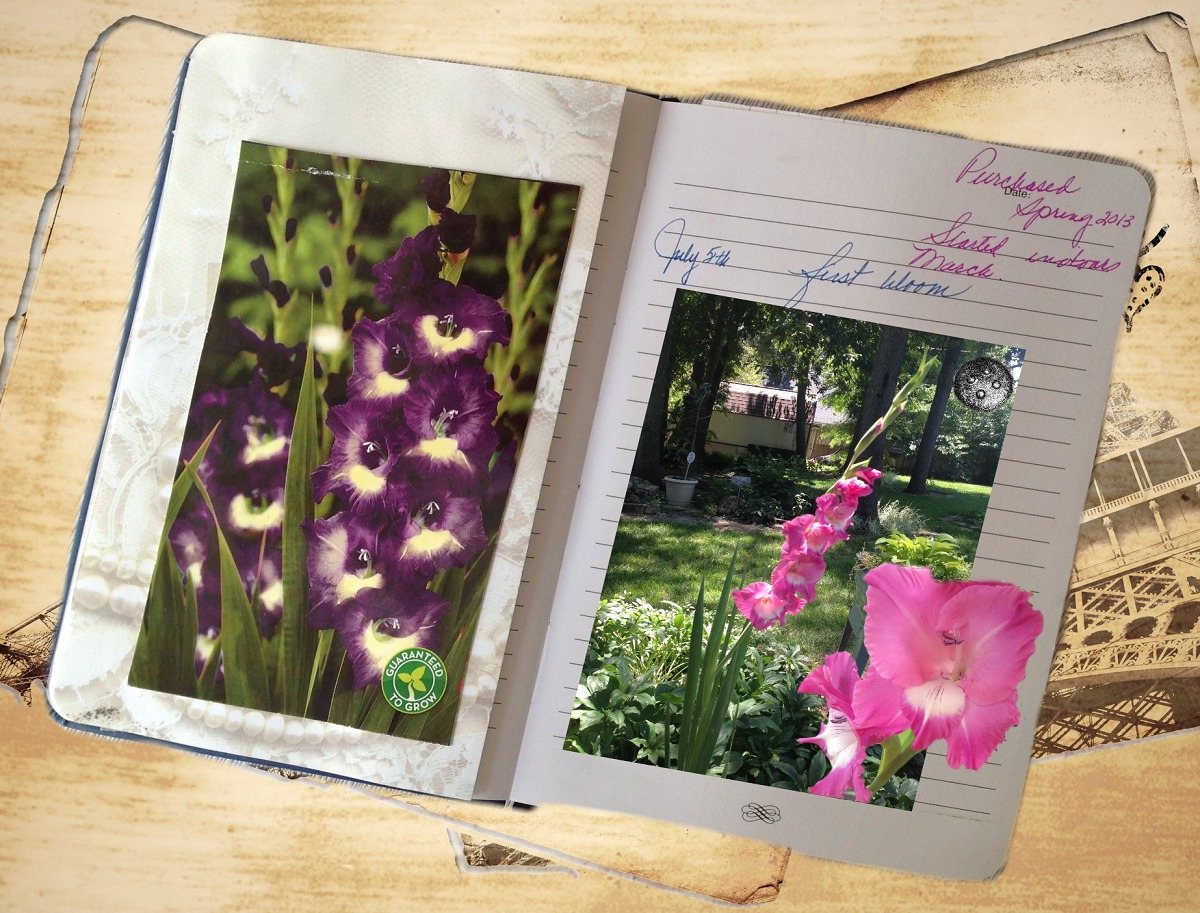 glenda's World : Keep a Journal of Plants