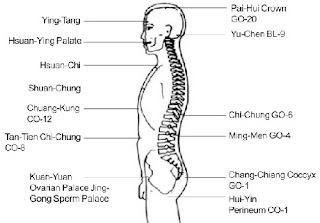 Way of Chi: The Micro Cosmic Orbit Meditation